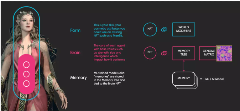 一文读懂ASM：NFT进化的新范式 - 深潮TechFlow