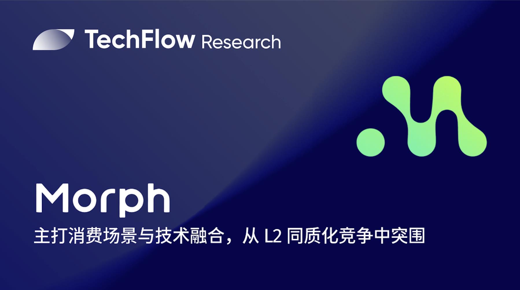 解读 Morph：主打消费场景与技术融合，能否从 L2 同质化竞争中突围？ - 深潮TechFlow