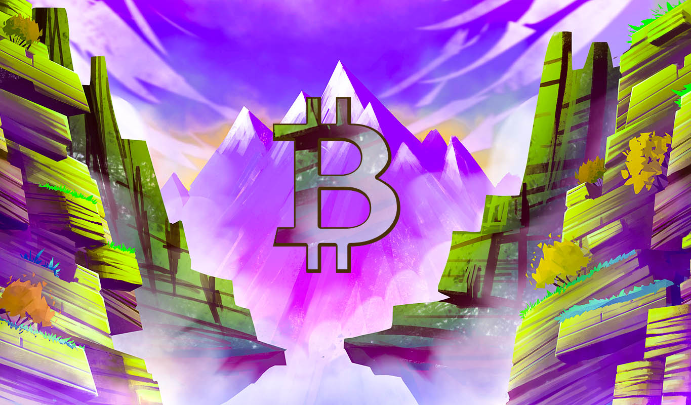 CryptoSlate 报告：2024 年谁是持有 BTC 最多的巨鲸 - 深潮TechFlow