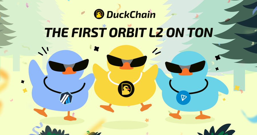解读 DuckChain：由 Arbitrum 支持，打造首条基于 TON 构建的 L2 - 深潮TechFlow