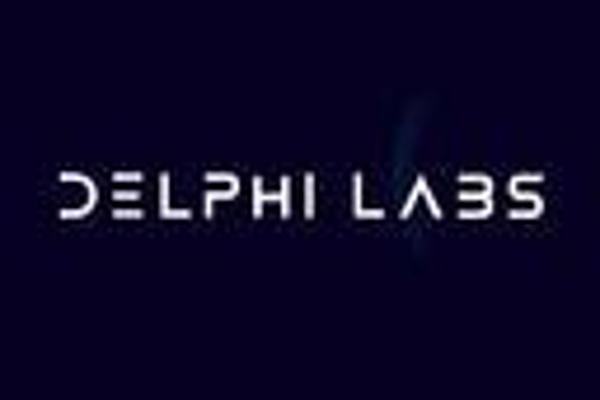 Delphi Labs：新的代币发行机制，锁定+流动性引导拍卖 - 深潮TechFlow